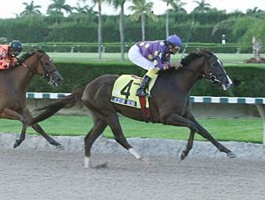Jackson Bend - Horse Profile - BloodHorse