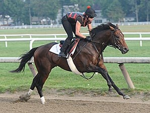 Orb - Horse Profile - BloodHorse