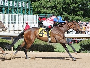 May Day Rose - Horse Profile - BloodHorse