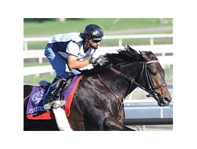 Piscitelli Works for Holy Bull - BloodHorse