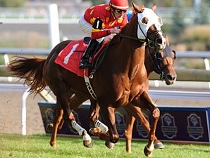 Plenty of Options in 12-Horse Nearctic Stakes - BloodHorse