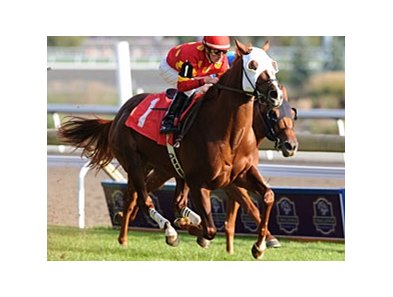 Plenty of Options in 12-Horse Nearctic Stakes - BloodHorse