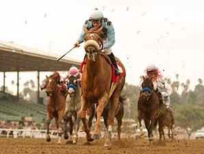 Aggie Engineer - Horse Profile - BloodHorse