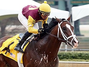 Golden Lad - Horse Profile - BloodHorse