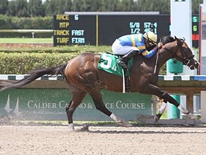 Indiano - Horse Profile - BloodHorse