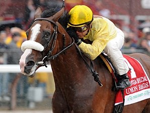 Union Rags - Horse Profile - BloodHorse