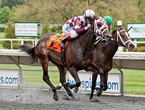Imposing Grace - Horse Profile - BloodHorse