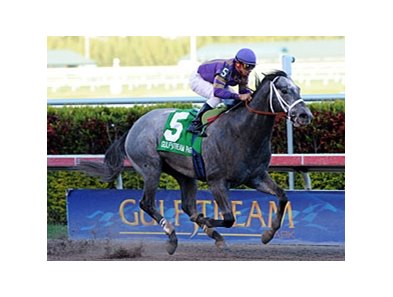 Flashpoint: An Intriguing New Face - BloodHorse