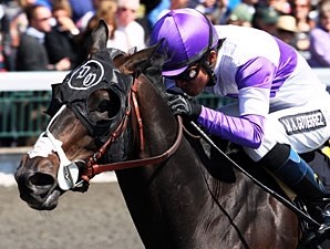 Handsome Mike - Horse Profile - BloodHorse