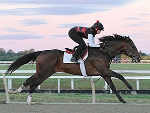 Orb - Horse Profile - BloodHorse