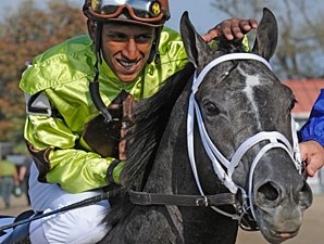 Mission Impazible - Horse Profile - BloodHorse