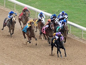 Archarcharch - Horse Profile - BloodHorse