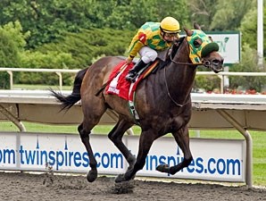 Shrewd Operator - Horse Profile - BloodHorse