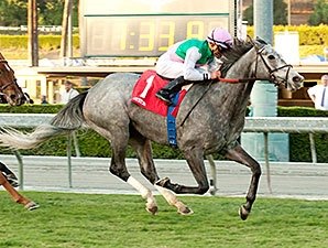 Filimbi Avoids Trouble in Eventful Goldikova - BloodHorse