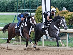 Mission Impazible - Horse Profile - BloodHorse