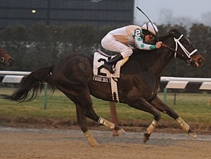 Fabulous Strike - Horse Profile - BloodHorse