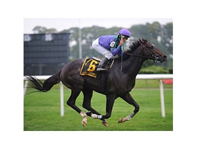 Ribaudo Takes on Big Guys in BC Turf - BloodHorse