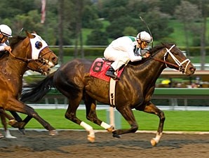 Cowboy Cal - Horse Profile - BloodHorse