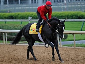 Archarcharch - Horse Profile - BloodHorse