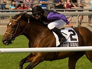 Nearctic Draws Euro Fillies, Big Band Sound - BloodHorse