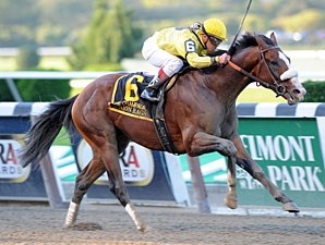 Union Rags - Horse Profile - BloodHorse