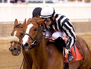 Red's Round Table - Horse Profile - BloodHorse