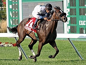 Flay Mignon - Horse Profile - BloodHorse