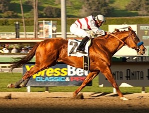Euroears - Horse Profile - BloodHorse
