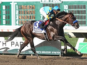Paynter - Horse Profile - BloodHorse
