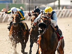 Blue Tone - Horse Profile - BloodHorse