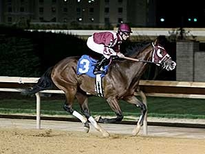 Rise Up - Horse Profile - BloodHorse