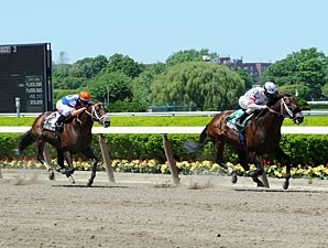 Trickmeister - Horse Profile - BloodHorse