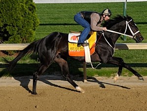 West Side Bernie - Horse Profile - BloodHorse