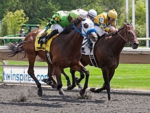 Francois - Horse Profile - BloodHorse