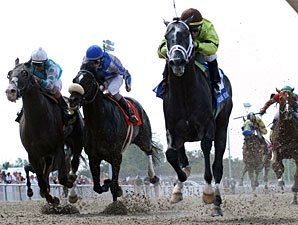 Mission Impazible Returns to Winning Ways - BloodHorse