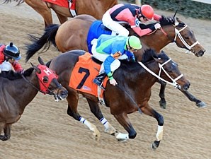 Native Ruler - Horse Profile - BloodHorse