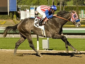 Uncle Sam - Horse Profile - BloodHorse