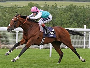 Frankel (GB) - Horse Profile - BloodHorse