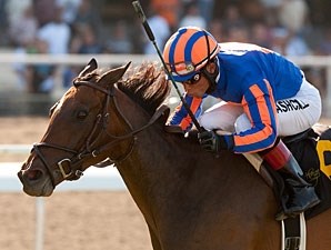 Belle Royale (IRE) - Horse Profile - BloodHorse