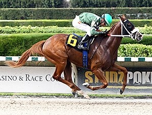 Secret Kitten - Horse Profile - BloodHorse