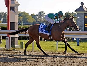 Juvenile Fillies: California Dreamin' - BloodHorse