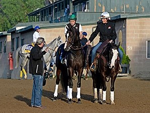 Upstart - Horse Profile - BloodHorse