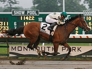 Pomeroys Pistol - Horse Profile - BloodHorse