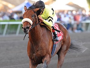 Quality Road - Horse Profile - BloodHorse