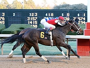 Ride On Curlin - Horse Profile - BloodHorse