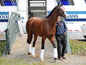 Union Rags - Horse Profile - BloodHorse