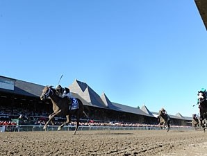 Capo Bastone - Horse Profile - BloodHorse