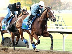 Grand Arch - Horse Profile - BloodHorse