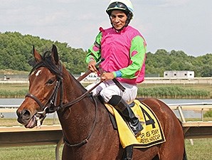 Gitchee Goomie - Horse Profile - BloodHorse