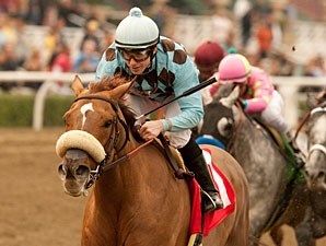 Aggie Engineer - Horse Profile - BloodHorse